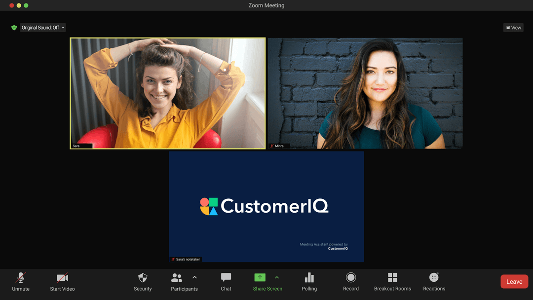 CustomerIQ - AI to Drive Revenue and Retention